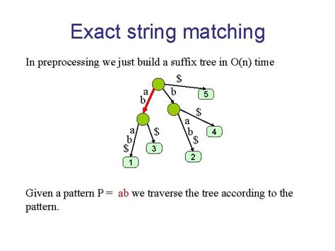 Suffix Trees And Suffix Arrays Trie A Tree