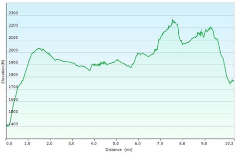 A Walk In The Woods Hammock Camping The Old Loggers Path Sintax77