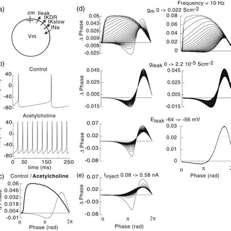 Simple Single Compartment Neuron A Schematic Drawing Of The Model Download Scientific