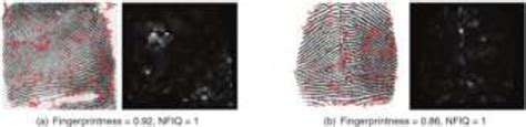 Figure 1 From Automatic Detection Of Altered Fingerprints Semantic Scholar