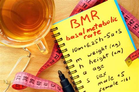 Bmr Calculator Basal Metabolic Rate Mifflin St Jeor Equation