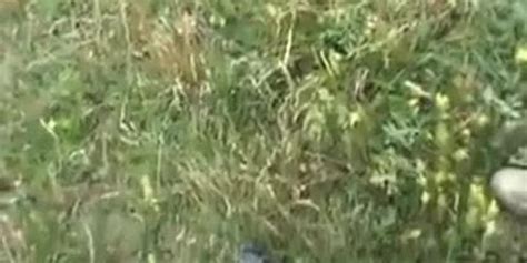 Bbw Anal Tnaflix Com