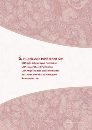 DNA RNA Extraction Kit PDF