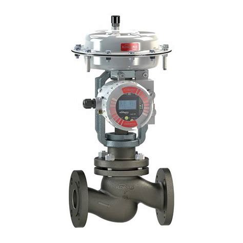 Valtek Gs Globe Control Valve Pegler Louden