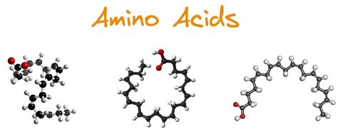 The Dev Directory In Linux Find Out What Devices Are Connected To