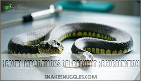 Why Do Snakes Regurgitate Causes Signs And Prevention Tips