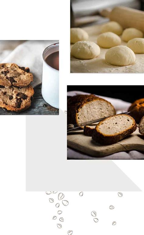 Home 노스쇼어 오클랜드 맛있는 빵집 모닝베이커리