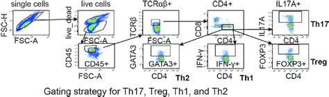 Gating Strategy For Th17 Treg Th1 And Th2 Cells Representative Plots