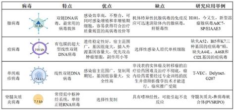 溶瘤病毒的发展作用机制种类及其与肿瘤免疫疗法联合的应用前景 生物器材网