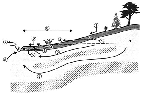 Runoff Generation Mechanism George Conacher With Modifications