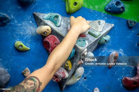 문신을 한 팔로 등반을 연습하기 위해 다양한 색상의 홀드가 있는 실내 등반 벽의 수직 벽 기술에 대한 스톡 사진 및 기타 이미지 기술 녹색 다중 색상 Istock