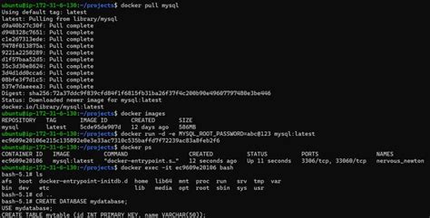 Amitt Ashok On Linkedin Connections Devops Automation Linux Aws Containerization