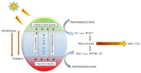 Basic Principle Of Photocatalysis 9 Download Scientific Diagram
