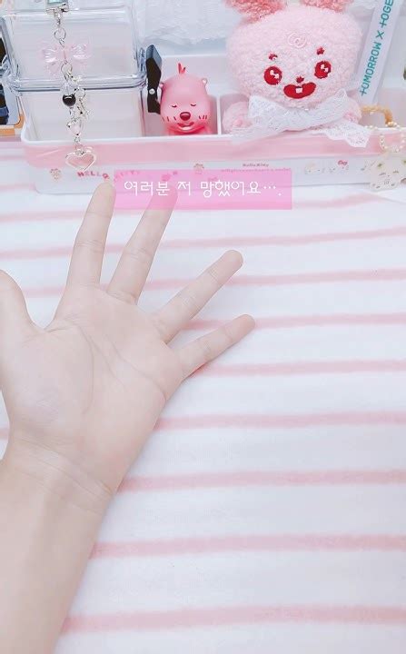 [포카포장]저 망했어요… 포카포장 추천추천 추천추천추천 Youtube