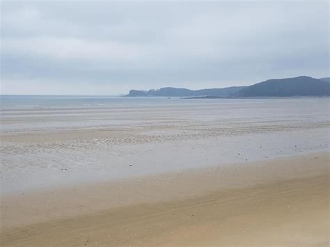 충청도 태안 가볼만한곳 우리나라 사막 신두리해안사구