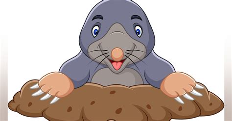 Pointers In Rust Whacking The Mole Part 2—the Rust Approach