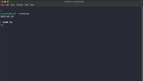 How To Install Youtube Dl