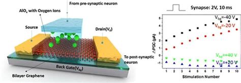 Imitating Synapses Could Lead To Smarter Electronics Neuroscience News
