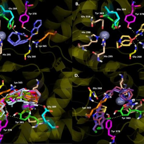 Fig S 3 Predicted Binding Mode And Predicted Intermolecular