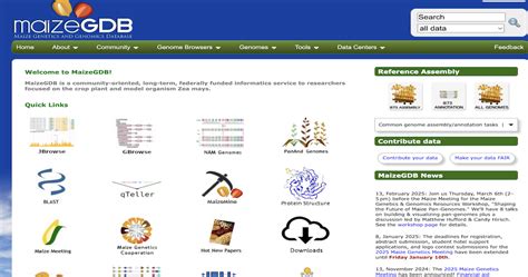 Meet Big Data Genomics