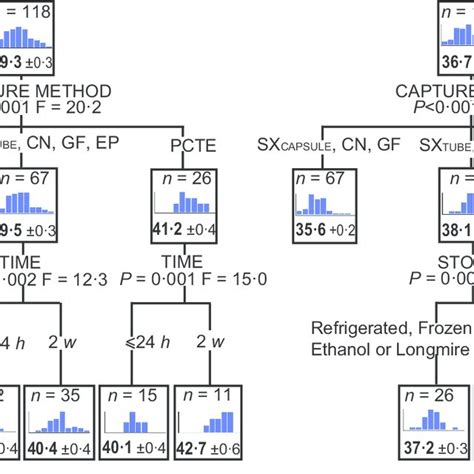 Chi Square Automatic Interaction Detector Decision Trees Relating Three Download Scientific