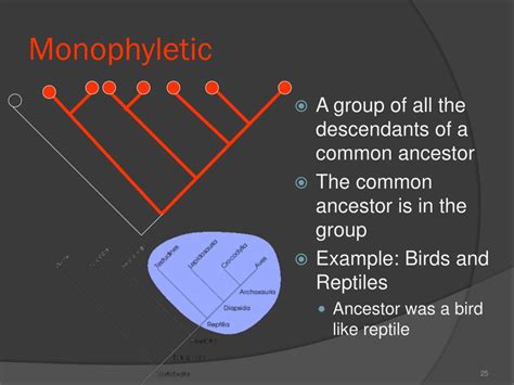 Ppt Evolutionary Classification Powerpoint Presentation Free