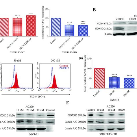 Flt3 Itd Expressing Aml Patient Samples And Cell Lines Express The Download Scientific Diagram