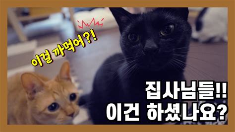 난 이걸 왜 이제 알았지 Youtube