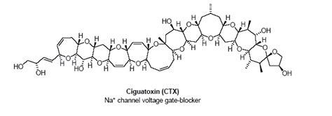 Ciguatoxin Elucidated In 1989 By Yasumoto Et Al [9 K] Was Recently