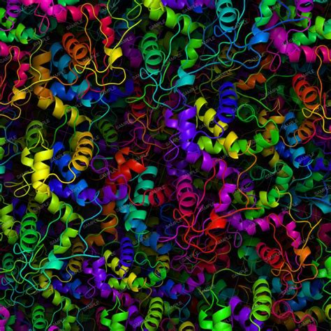 Protein Structure Pattern Crew