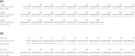 A Alignment Of The Exon 2 And B Partial Protein Sequence Alignment Download Scientific