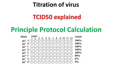 Tcid50 Assay Principle Protocol And Calculation Explained Youtube