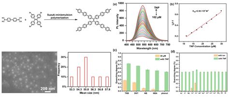Tetraphenylethene Based Cross Linked Conjugated Polymer Nanoparticles