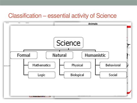 Ppt Stellar Spectral Classification The First Step In Quantitative Spectral Analysis Part I