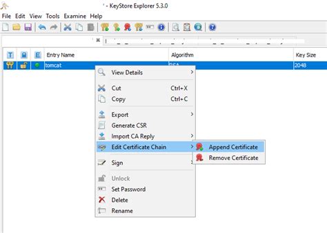 50 Keystore Generate New Certificate Generatekey