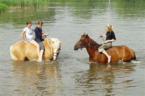 Купание почти красного коня Foto History — Livejournal