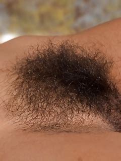 Bikini Porn Pics My Hairy Girls