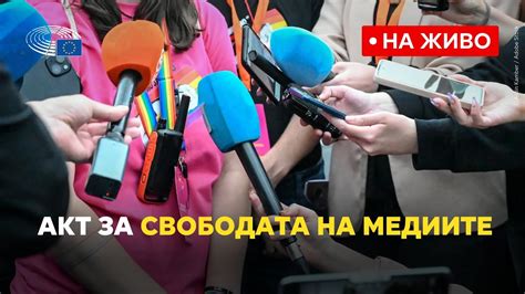 Повече защита за журналистите и свободата на печата в ЕС на живо от ЕП Youtube