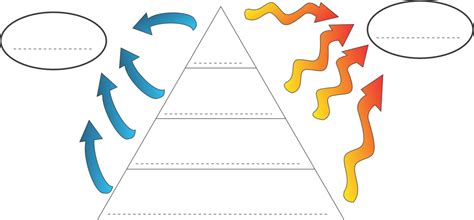 7th Science Energy Pyramid Diagram Quizlet