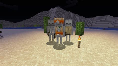 Minecraft Skeleton Texture