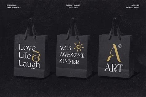 Agilera Stylish Ligature Font Serif Decorative Ft Ligatures