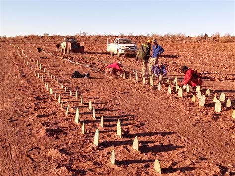 Nangula Nelulu Uaandja On Linkedin Wow… Nicole Maske Does It Again Bringing To Namibia A