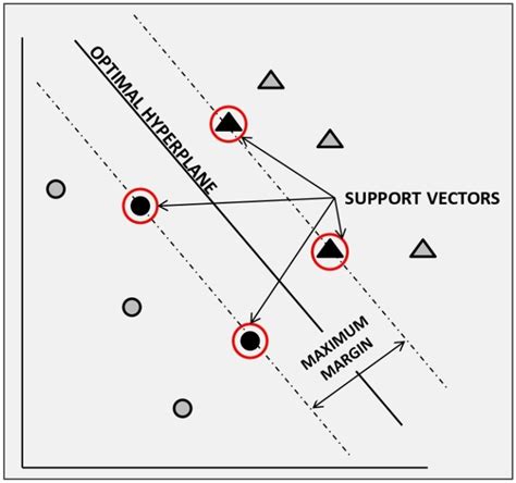 Schematic Showing An Optimal Separating Hyperplane With Support Vectors Download Scientific