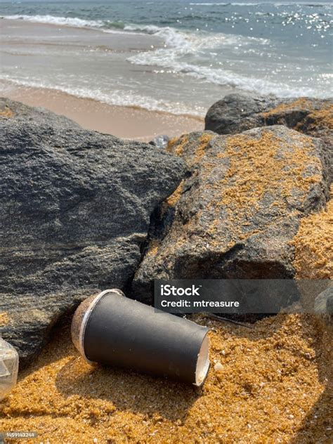 썰물 때 바위 웅덩이에 씻겨진 투명한 플라스틱 돔형 뚜껑이 있는 빈 판지 일회용 커피 컵 해안의 바다 쓰레기 및 오염 흩어지는 모래 더러운 해변 부서지는 파도 배경 전경에