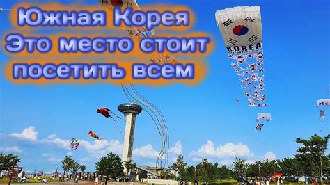 Южная Корея. Семейная прогулка, чайки, море, красивый вид с птичьего ...