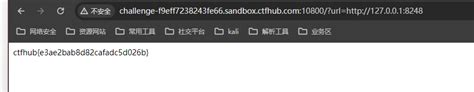 ctfhub技能树通关教程——ssrf漏洞原理攻击与防御（一） 超详细总结 白小雨 博客园