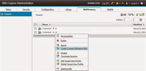 Business Analytics Ibm Cognos Bi Setting Up Multi Tenancy Environment