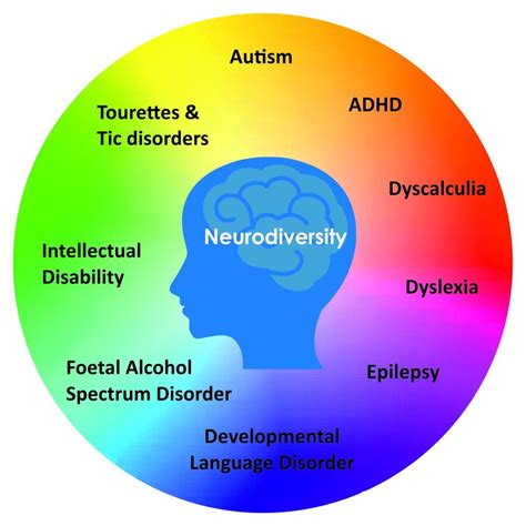 “embracing Neurodiversity Understanding Autism As A Unique Neurodivergence” Lily Speech And