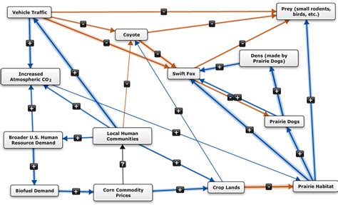 A Model‐based Instructional Approach In A Socio‐ecological Course‐based