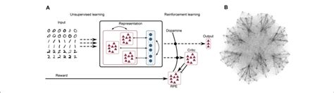 A Network Schematic Dashed Lines Represent Plastic Synapses Download Scientific Diagram